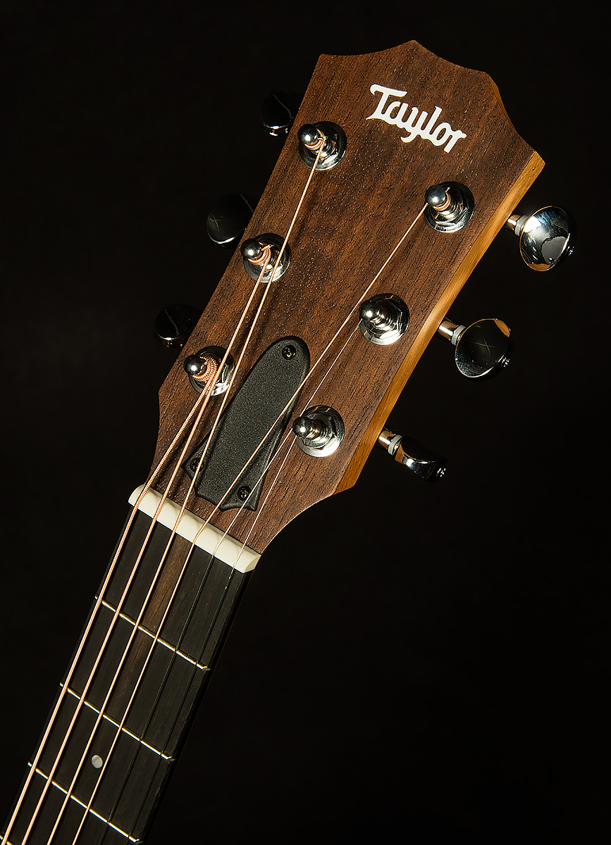 GS Mini Sapele | GS Mini Series, New Arrivals, Taylor Acoustic ...